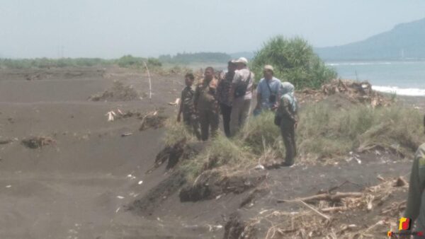 Rencana Pembangunan Tambak Udang di Pesisir Pantai Puger Dihentikan